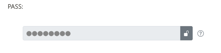 How to Securely Manage Passwords in Notion with Encryption | Chigusa WEB
