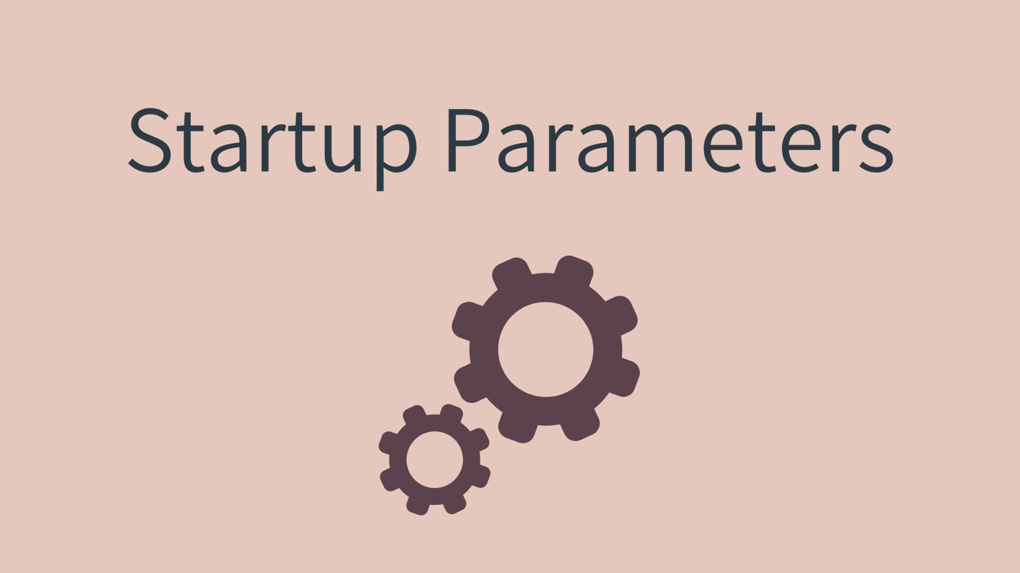 Startup Parameters | Clibor English