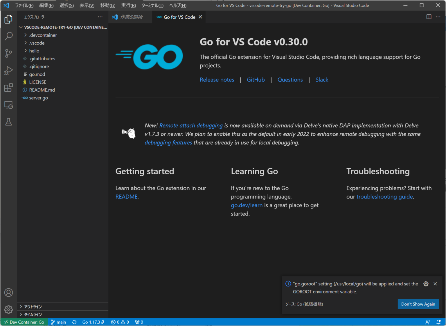  VS Code Go Docker 